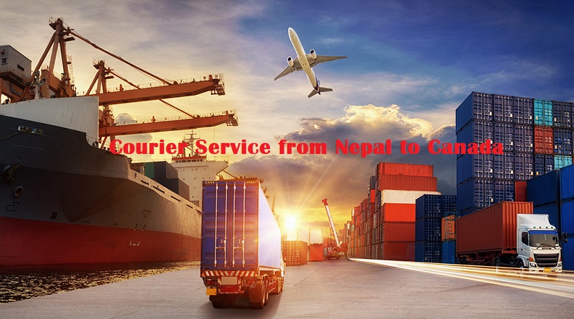 #1 Cargo Service in Nepal | Courier Service In Nepal